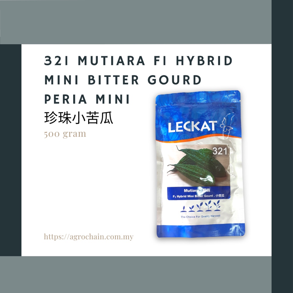LECKAT - 321 MUATIARA F1 HYBRID MINI BITTER GOURD/ PERIA MINI/ 珍珠小苦瓜 ...