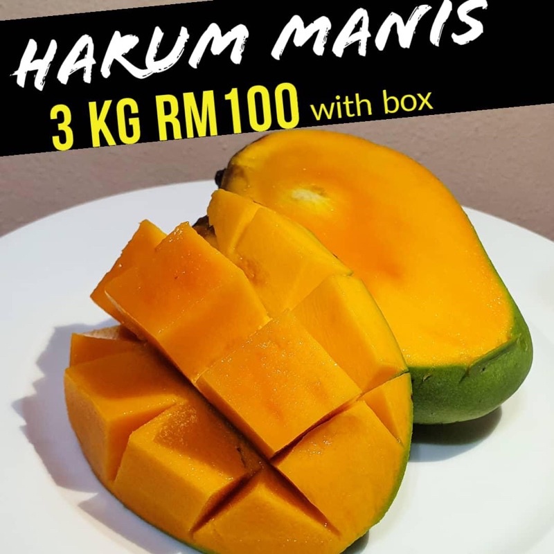 PROMO READY STOCK MEMPELAM MANGGA HARUMANIS ORIGINAL PERLIS | Shopee ...