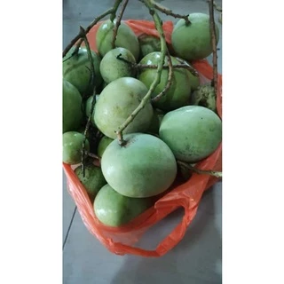 Buy The Best mangga Online, Jun 2024 | Shopee Malaysia