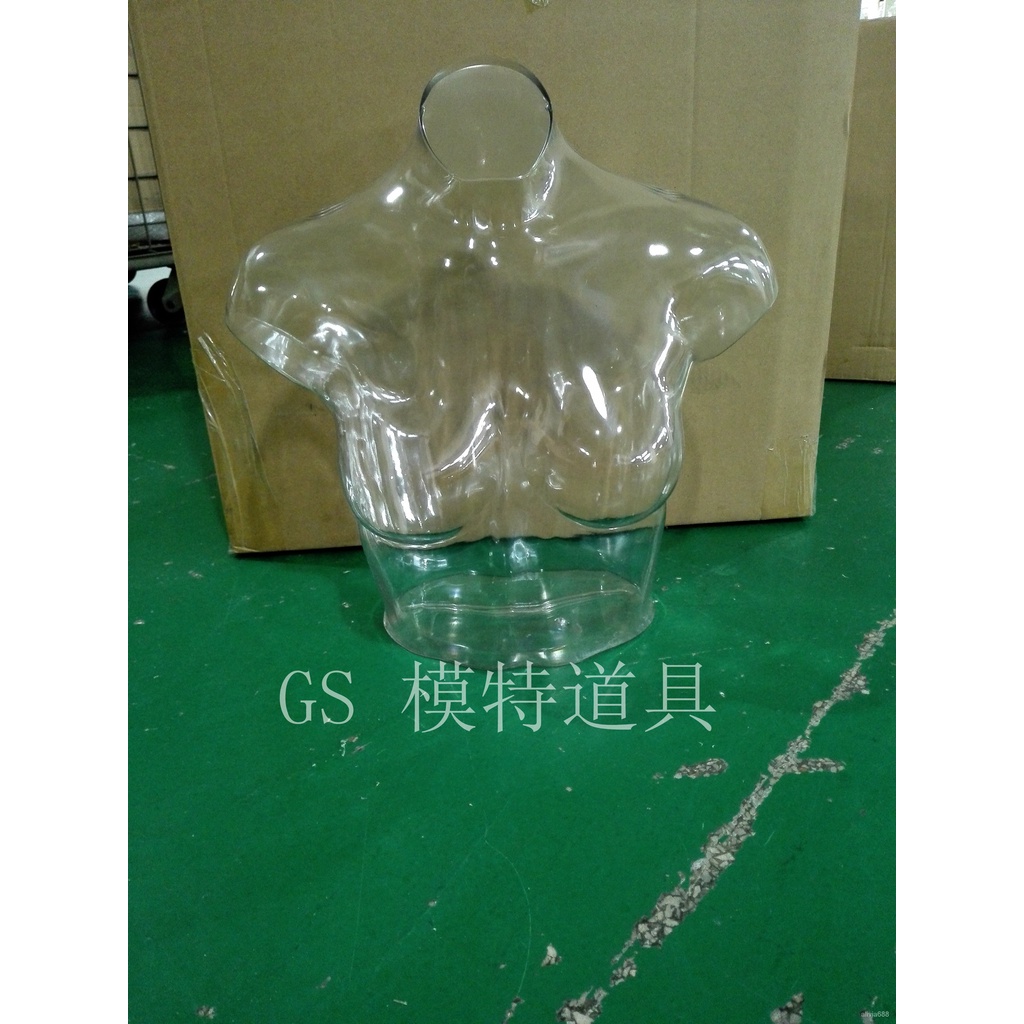 Plastic Three-Dimensional Lamp Model Half-Body Chest Figure Transparent ...