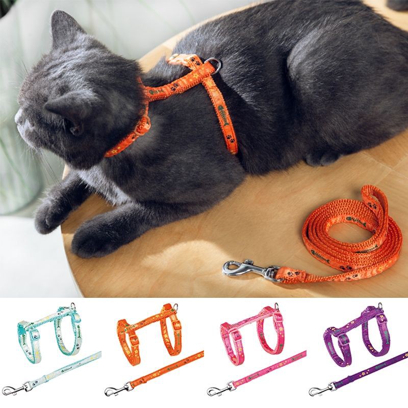 Tali Kucing Berjalan / Cat Collar / Ready Stock | Shopee Malaysia