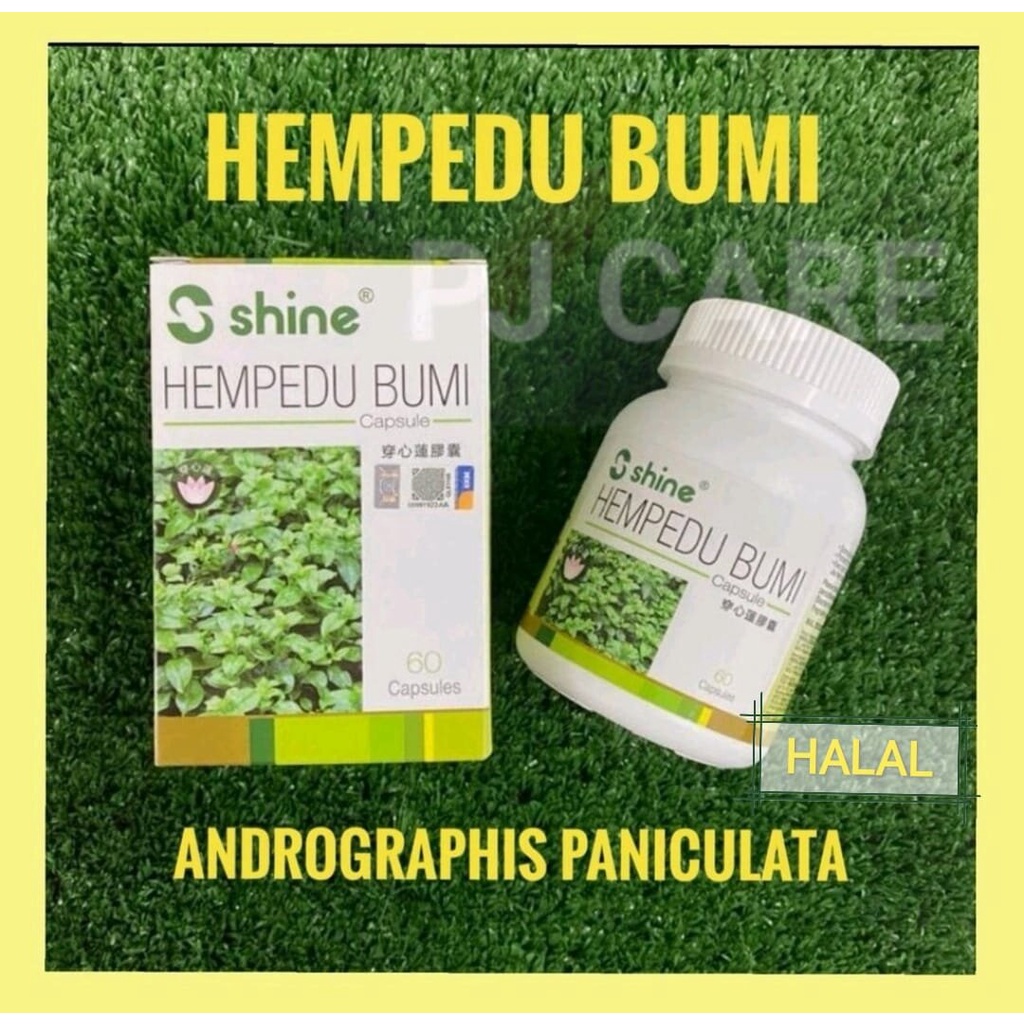 SHINE HEMPEDU BUMI 60's (Andrographis Paniculata) IMPROVES IMMUNITY ...