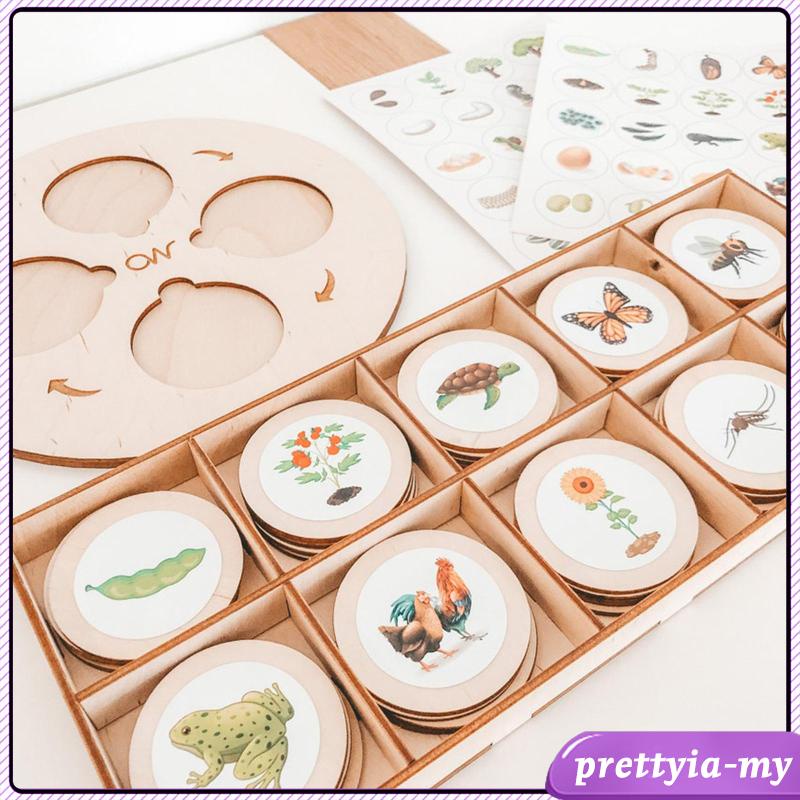 [prettyiaMY] Cycle Tray Flash Cards Growth Cycle Puzzles | Shopee Malaysia
