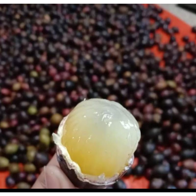 Buah Kristal longan brazil Sarawak | Shopee Malaysia