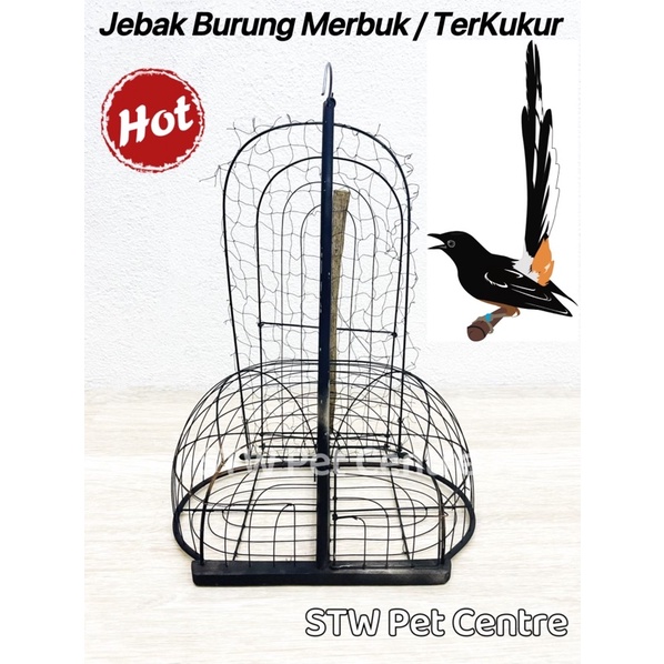 Jebak Burung Merbok, Terkukur, Ketitir (27Lx14Hx15w) | Shopee Malaysia
