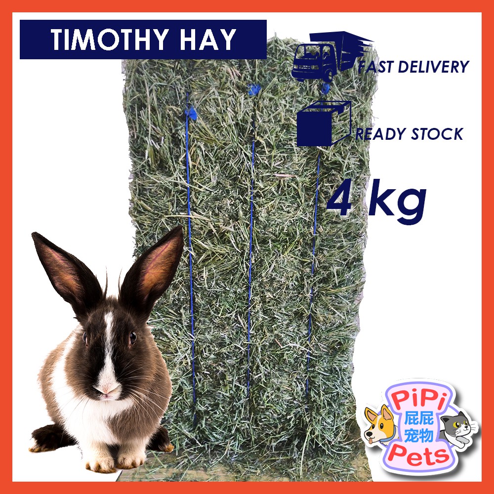 Premium USA Timothy / Alfalfa Hay (4 kg) for Rabbits / Guinea Pigs ...
