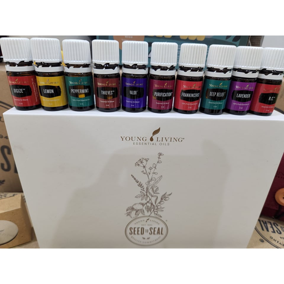 [BUY 7 GET 1 FREE] 100% ORIGINAL YL ESSENTIAL OILS!!! Repack-1ML ...