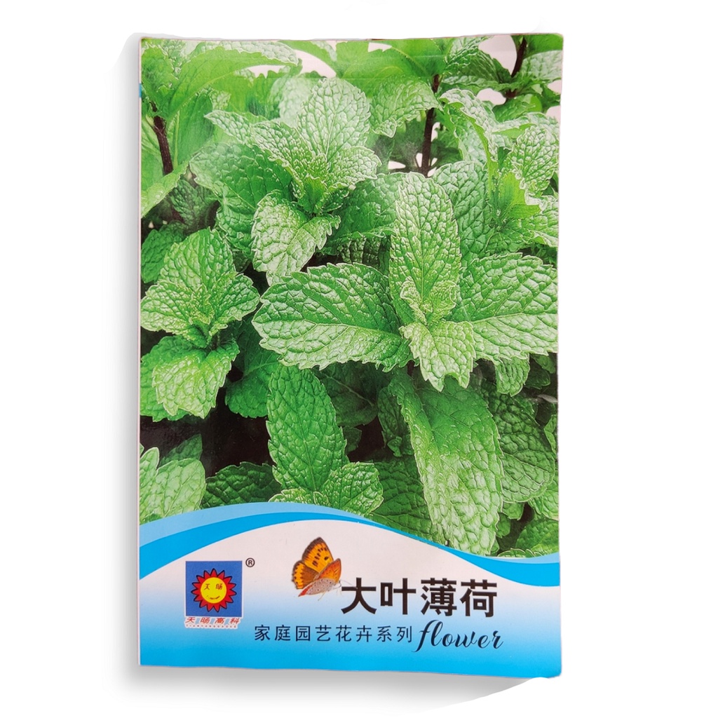 Mint Seed Pelbagai Biji Benih Pudina Spear Mint Herbs Seeds Spearmint ...