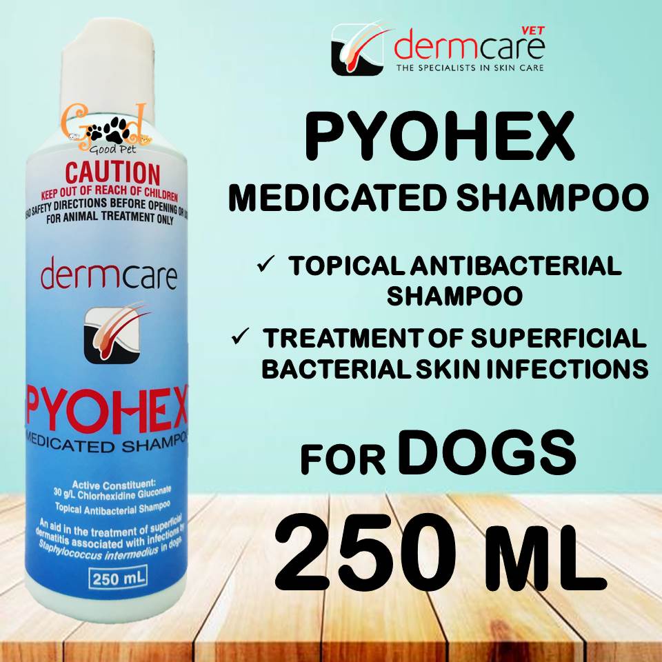 Pyohex Medicated Shampoo 250mL for Dogs | Topical AntiBacterial Shampoo ...