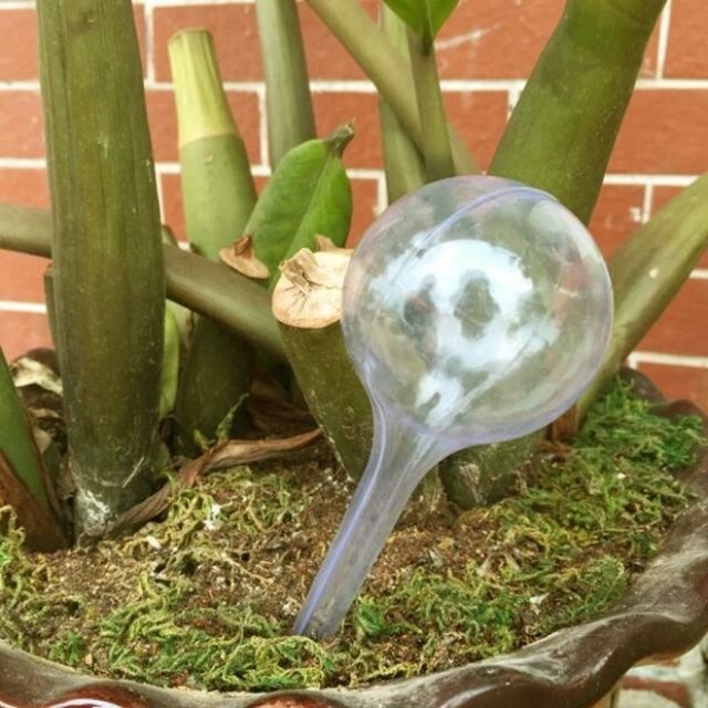 Ball automatic waterer / dripper (RS1533) | Shopee Malaysia