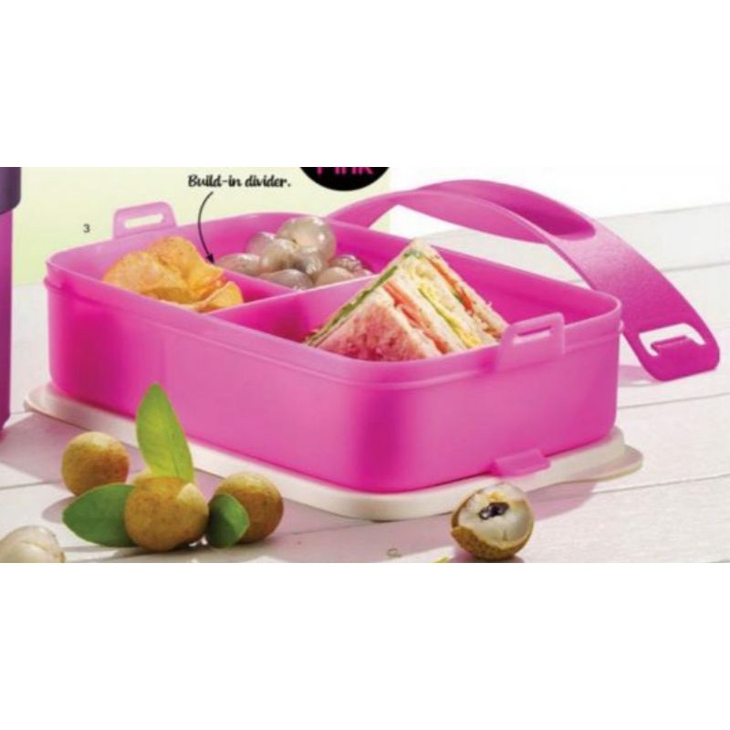 TUPPERWARE CLICK TO GO RECTANGULAR DIVIDED (1 PCS) | Shopee Malaysia