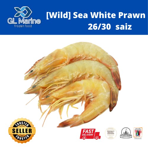 【wild】sea White Prawn 26 30 Saiz Aa [gross 1kg Pkt] Shopee Malaysia