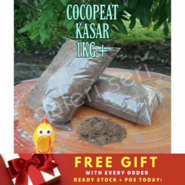 COCOPEAT 1 KG (Kasar) | Shopee Malaysia