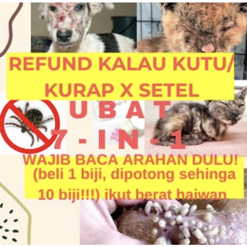 UBAT KURAP 15-in-1 KUCING ANJING (KURAP, HEARTWORM, KUTU, CACING ...