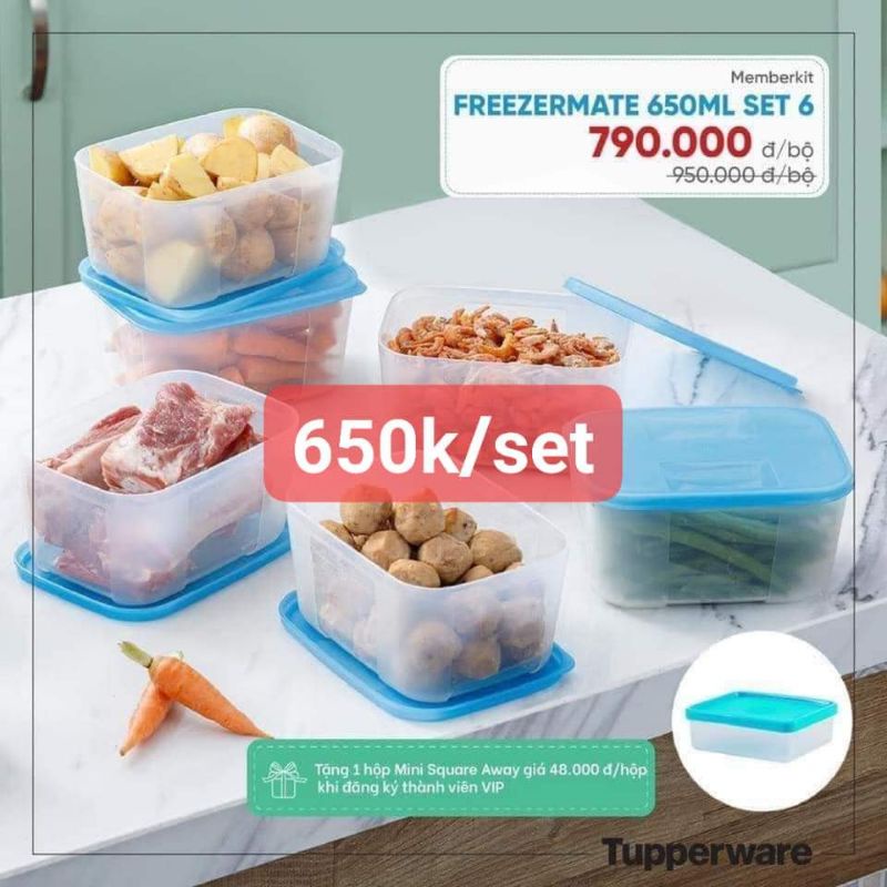 Freezemate 6 boxes 650ml tupperware | Shopee Malaysia