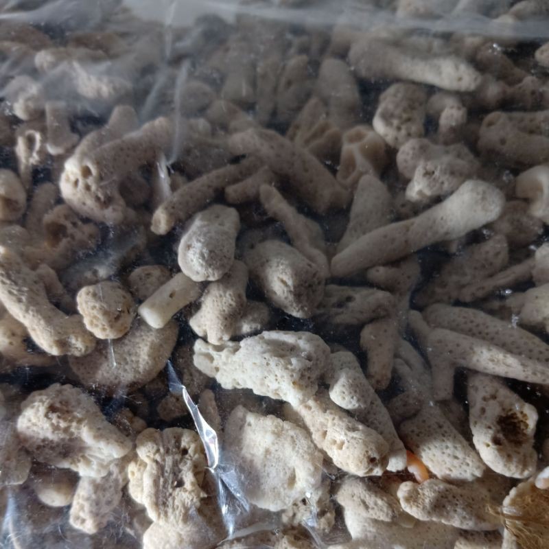 coral filter media aquarium/ fish pond 1 kg | Shopee Malaysia