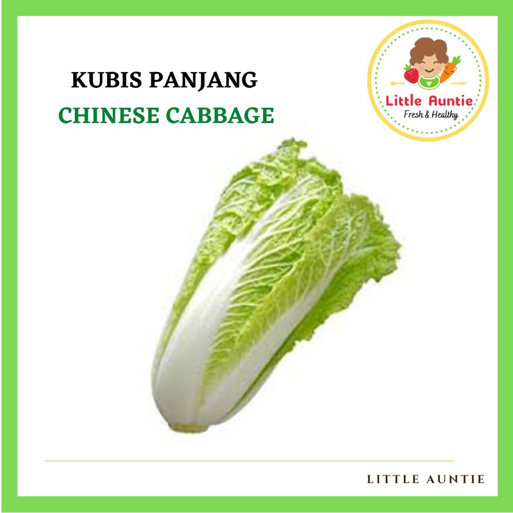 Kubis Panjang Cameron 金马伦长白菜 1 PCS Chinese Cabbage - Cameron | Shopee ...