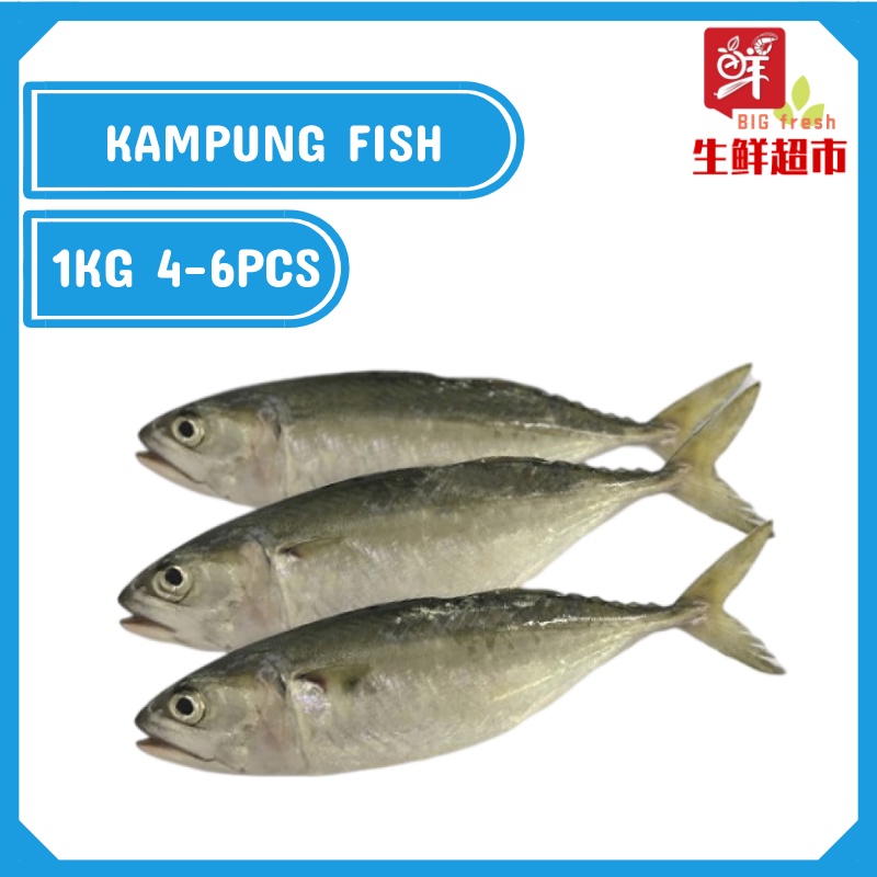 Frozen Kampung Fish Ikan Kembong 甘榜鱼 - 1kg 4-6 Pieces | Shopee Malaysia
