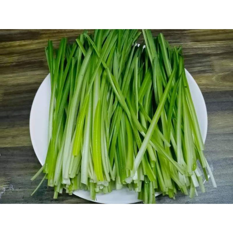 Qing Long Cai🌱青龙菜苗🌱🌱🌱 | Shopee Malaysia