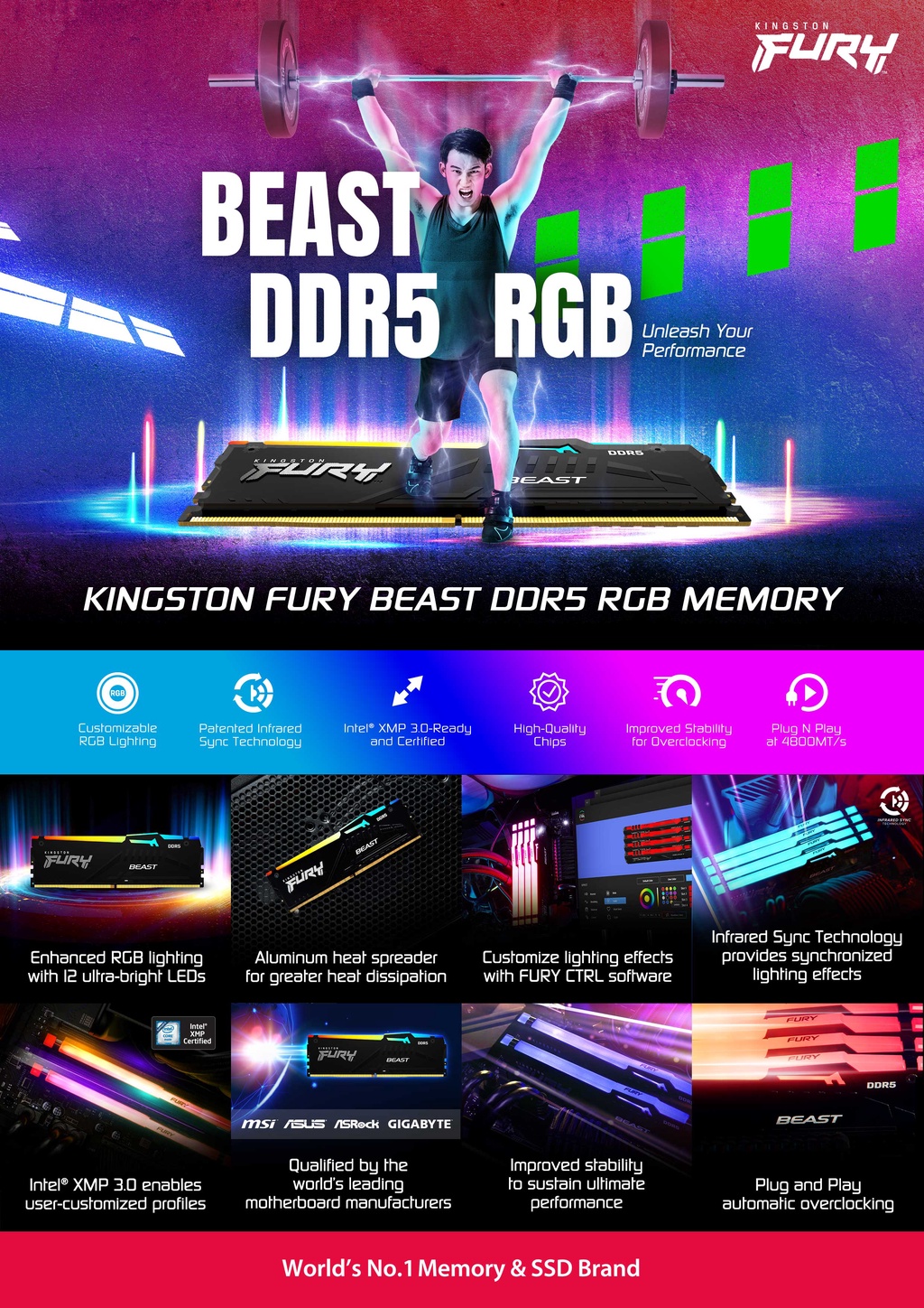 Kingston Fury Beast RGB DDR5 XMP 5200Mhz/5600Mhz/6000MHz/6400Mhz ...