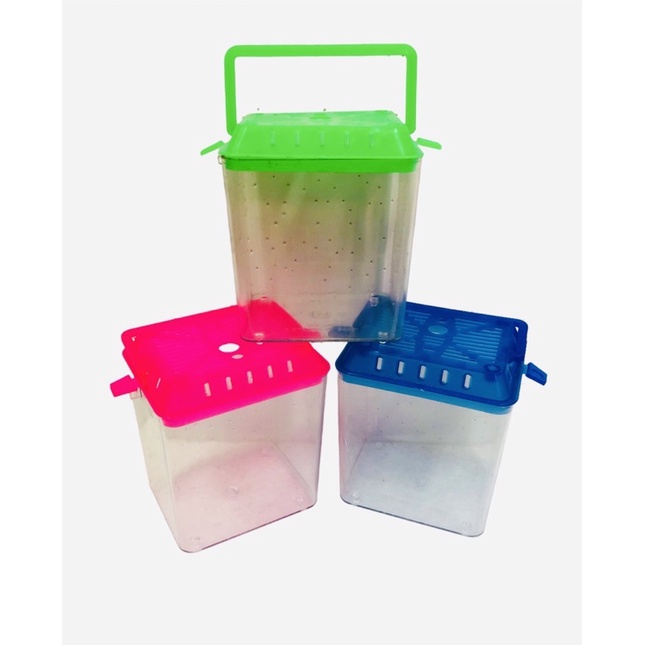 Clear Stock Beta Fish / Small Aquarium Colourful Cup Cawan Ikan ...