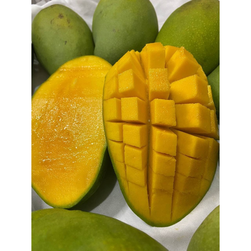 Readystock 🇲🇾🔥[2025]🔥 TERMURAH! 1KG MANGGA MEMPELAM HARUMANIS PERLIS ...