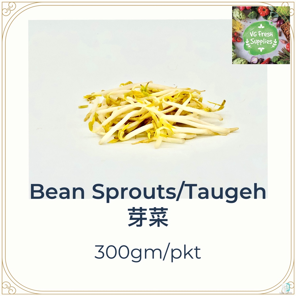 Small Sprouts/Bean sprouts/Taugeh/芽菜/300gm | Shopee Malaysia
