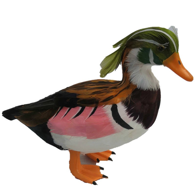 Model itik simulasi sains kognitif dan pendidikan kanak-kanak alat ...