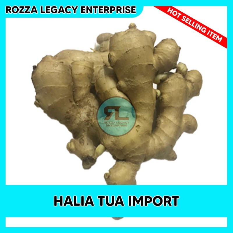 [READY STOCK] HALIA TUA IMPORT GRED A | Shopee Malaysia