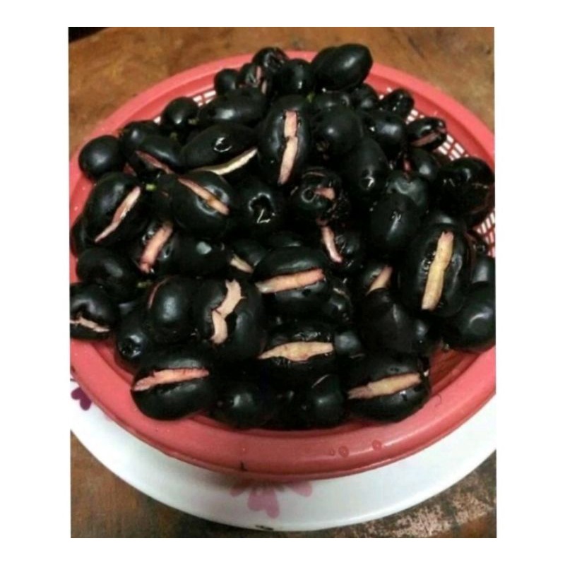 pokok buah Jambu arang | Shopee Malaysia