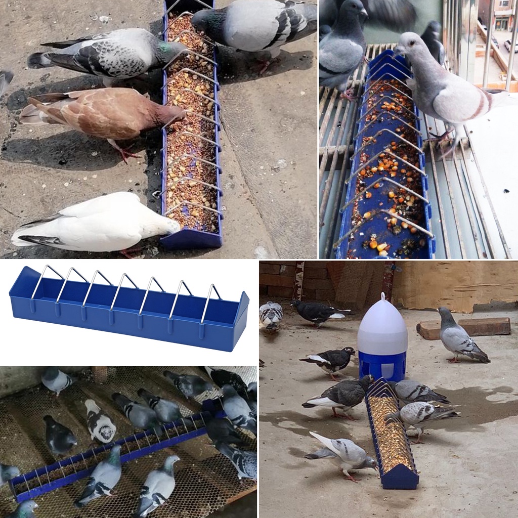 【Ready stock】Large Pigeon Chicken Feeder Plastic Trough Pigeon Drinker ...