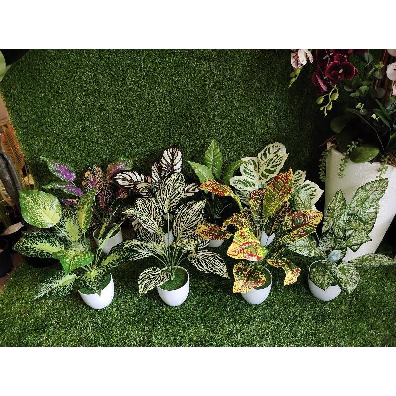 🔥🔥HOT🔥🔥Pokok hiasan pelbagai corak daun | Shopee Malaysia