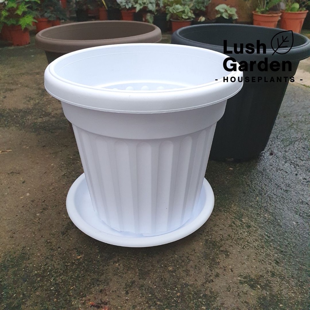 Baba RD-260 Plastic Flower Pot / Pasu Bunga 花盆 pot [Lush Garden ...