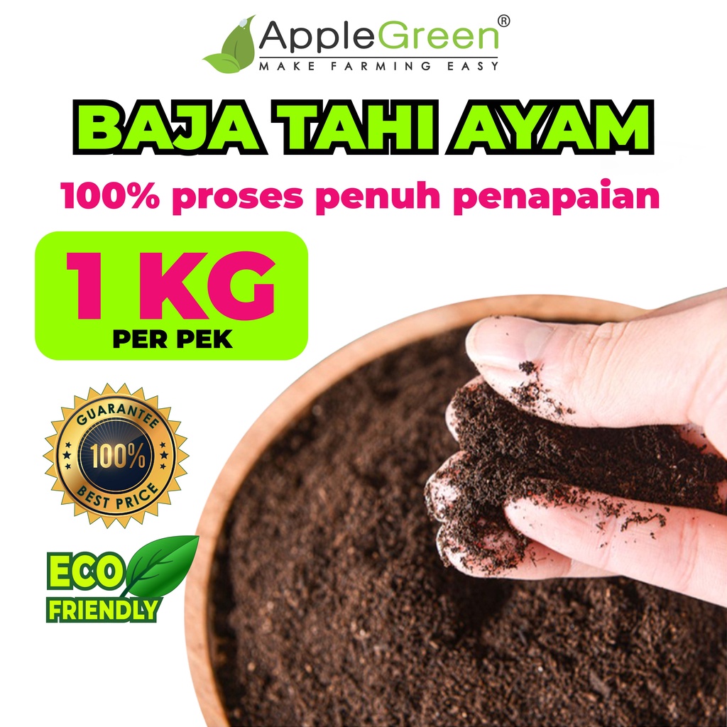 🔥PREMIUM QUALITY🔥 100% ORGANIK BAJA TAHI AYAM 1KG/100% ORGANIC CHICKEN ...