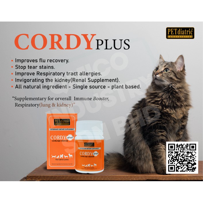 PROMO PETDIATRIC Cordy Plus 30 Cordyceps Sinesis For Cat & Canine 300mg ...