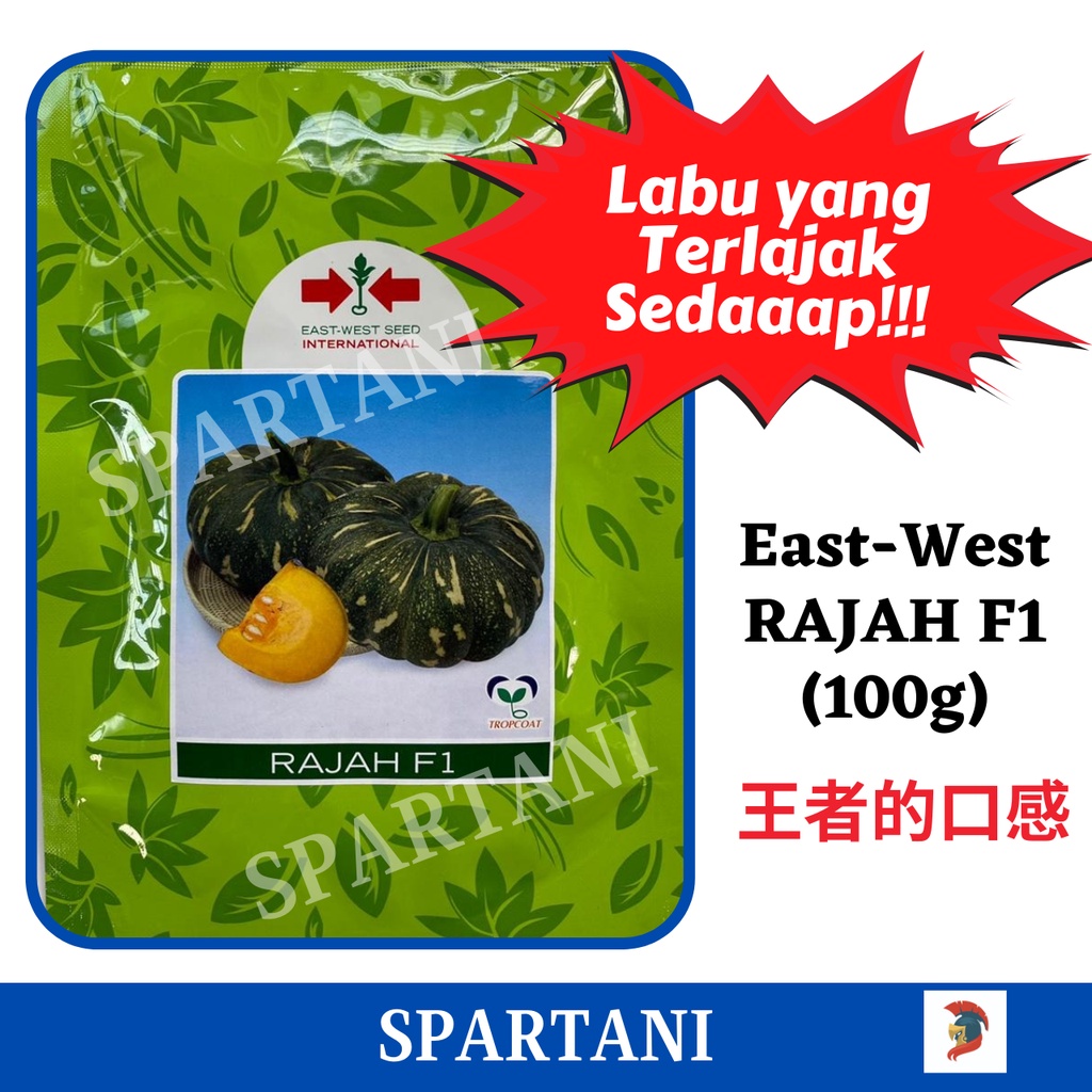 Benih Labu Lemak Manis Besar Hybrid Non-GMO /Labu Hijau Besar/ Sweet ...