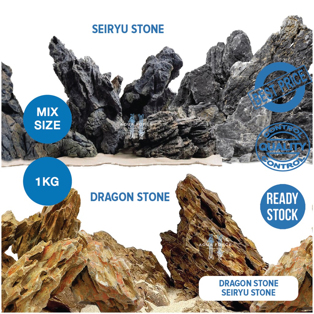 DRAGON STONE / OHKO ROCK / SEIRYU STONE / DECORATION AQUARIUM ...