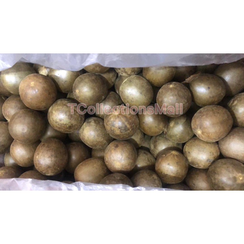 (READY STOCK) YBHerbs Lo Han Guo Lo 1 piece 罗汉果 1粒 Luo Han Guo Luo Hon ...