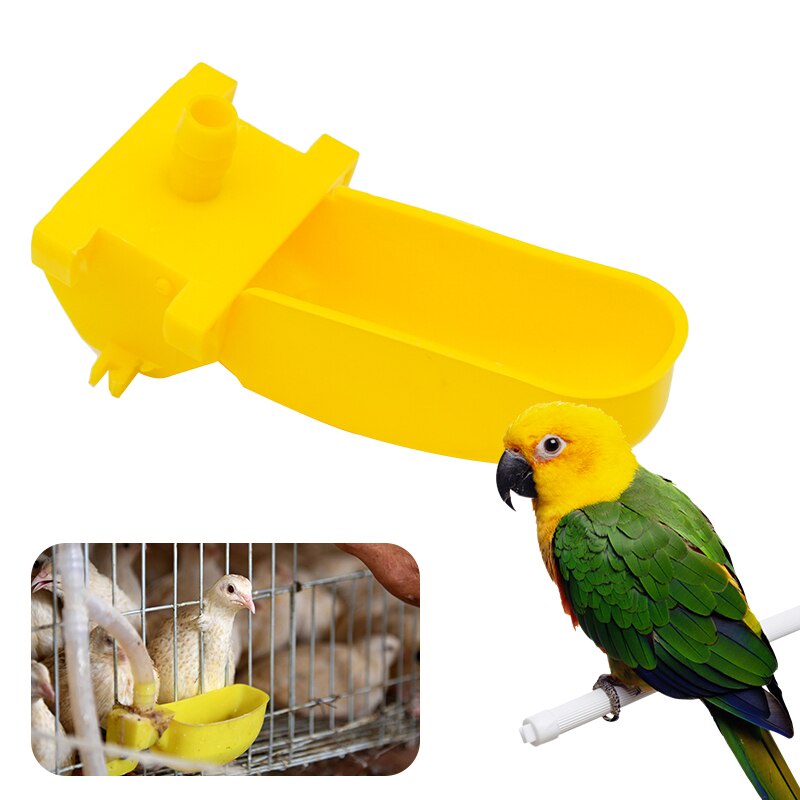 【Ready stock】5 Pcs Canary Parrot Starling Pet Bird Automatic Bird Cups ...