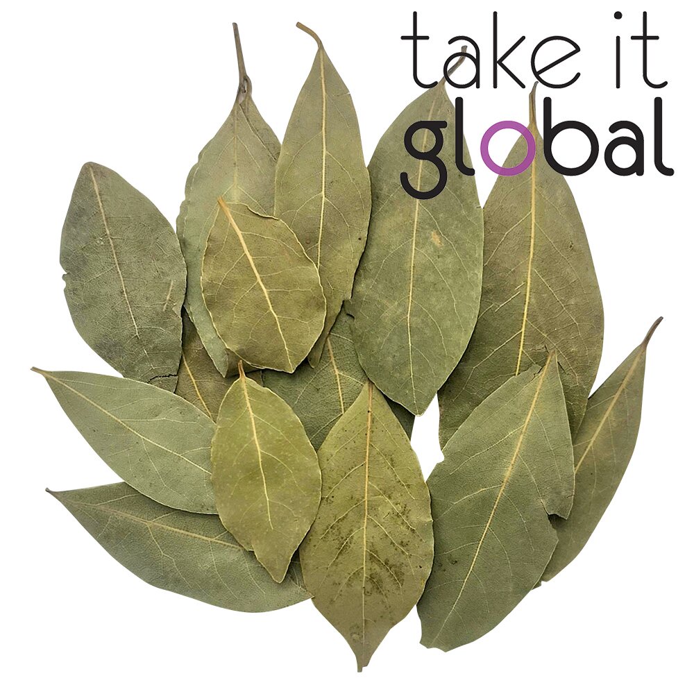 Dried Bay Leaves / Daun Salam Kering/ 月桂叶 - Food Grade/ Briyani Leaf/ Natural Spices | Shopee ...