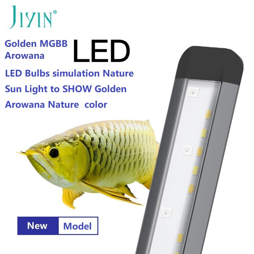 Jiyin Blade S Golden Arowana MGBB RGB Professional Aluminium Aquarium ...
