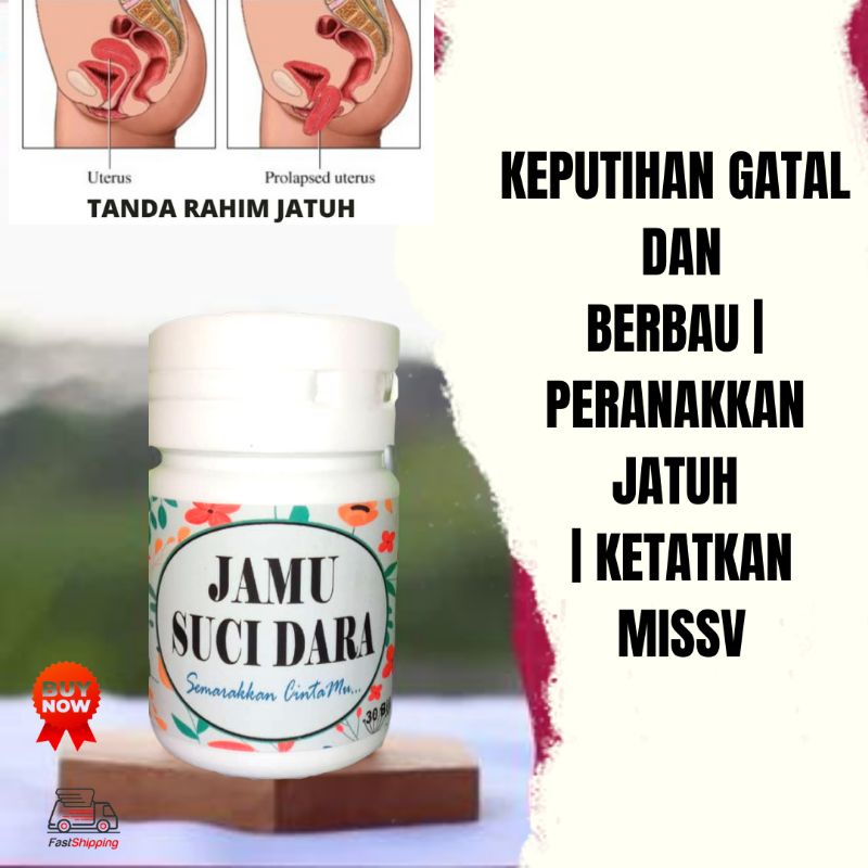 💯 Original Jamu SuciDara 🔥 KETATKAN MISSV | Tombong | Peranakan Jatuh ...