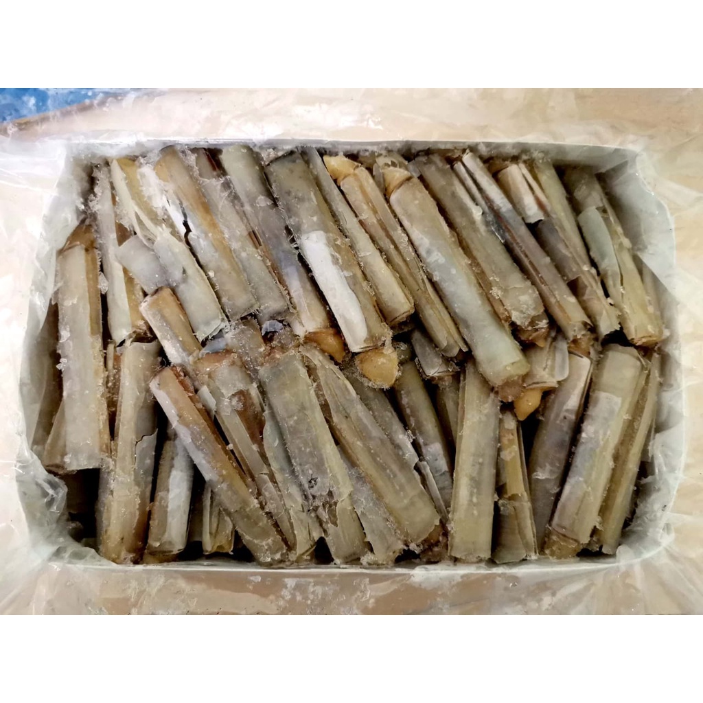 【WHOLESALES】1KG | BAMBOO CLAM 8-10cm 1KG｜竹滩8-10cm | Shopee Malaysia