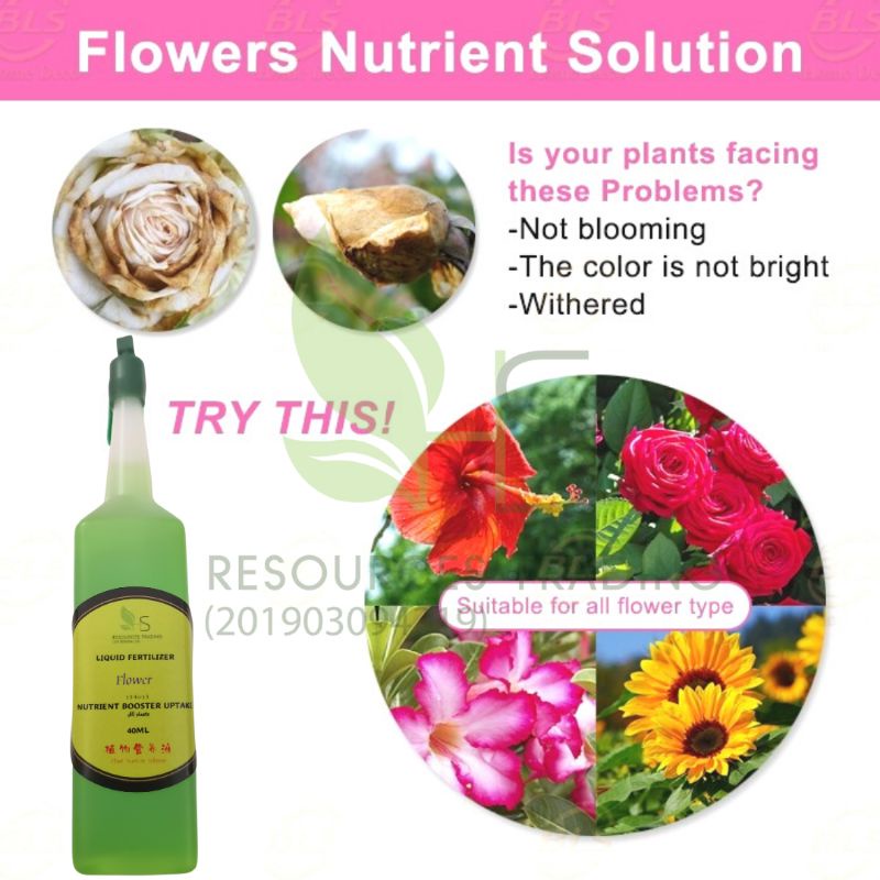 HS Premium NUTRIENT SOLUTION LIQUID FERTILIZER NPK CONCENTRATED PLANT ...