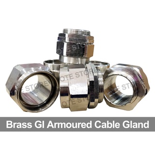 Brass GI Cable Gland Armoured Cable (G204, G205, G254, G256, G324, G326 ...