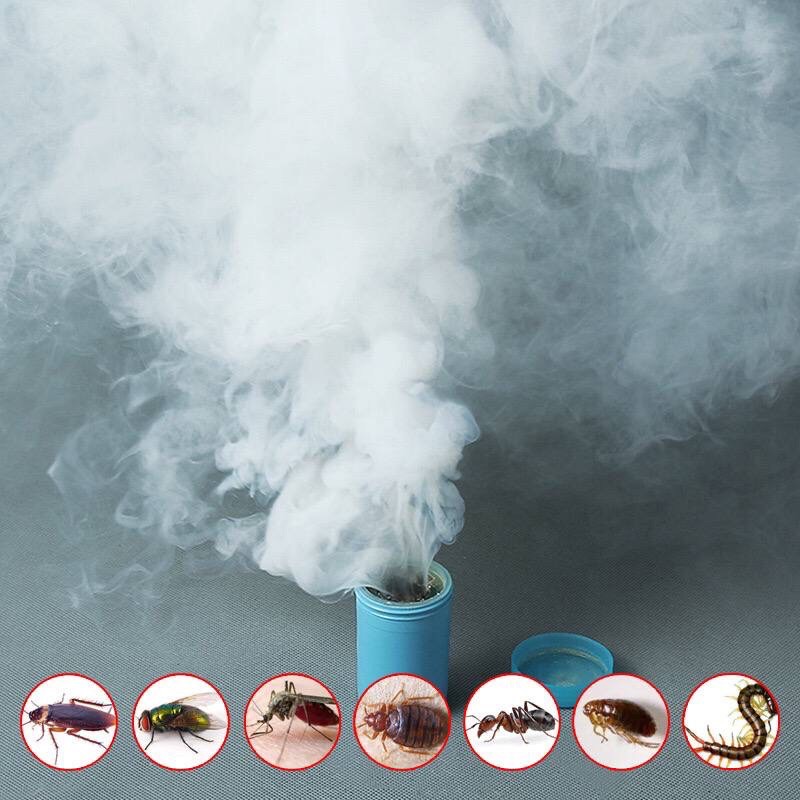 Bekas asap pembunuh serangga 2jam serangga mati bergelimpangan racun ...