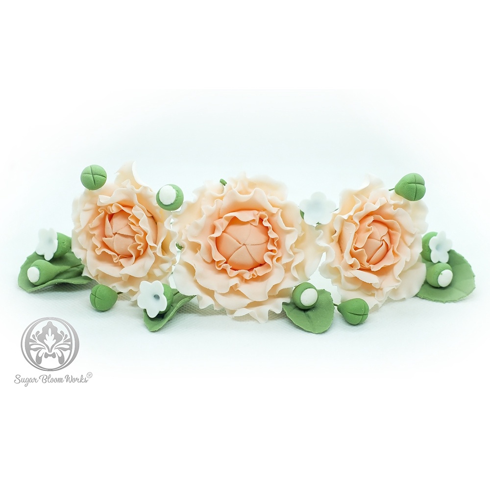 A Gumpaste Flower Peony Set (19) READY STOCK Cake Topper / Bunga Kek ...