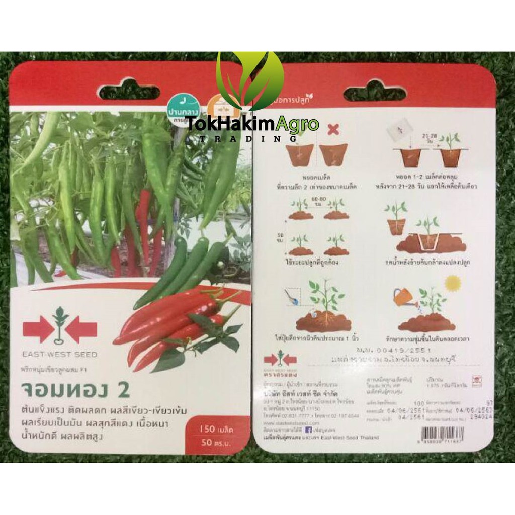 Biji Benih Cili Besar Hibrid F1 Cap Panah Merah/East West (150 biji ...