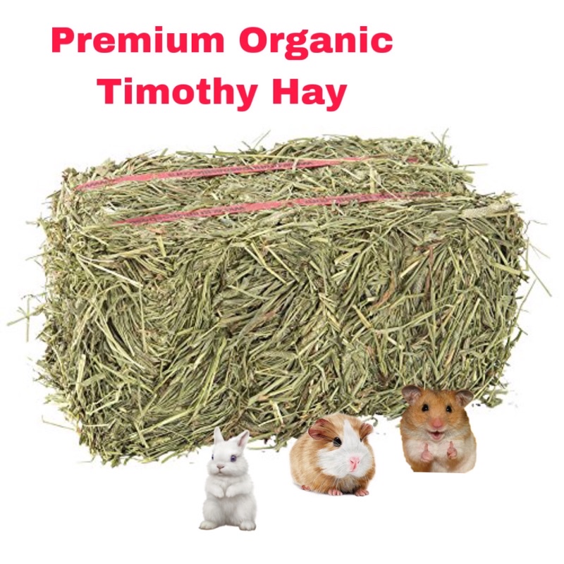 🔥Sales🔥 ORGANIC TIMOTHY HAY/ JERAMI TIMOTHY/ PET GRASS🌱 | Shopee Malaysia