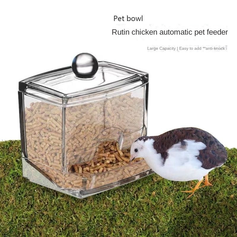 Bird feeder acrylic automatic feeder quail food basin Dingding chicken ...